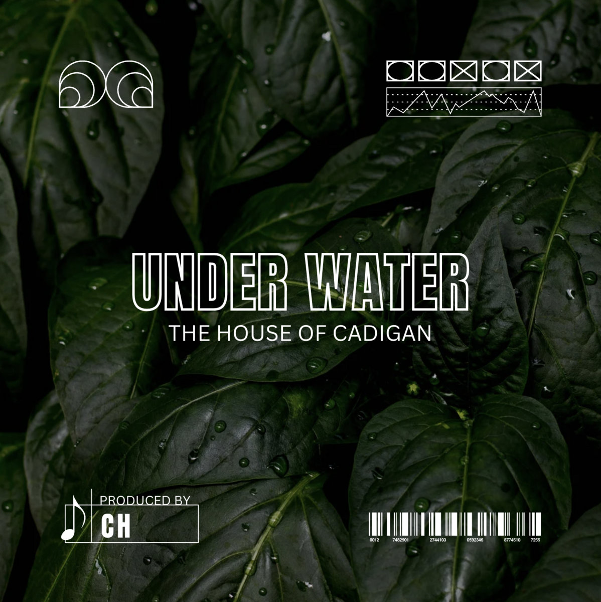 Underwater | Brennan Struif | Skin Raft