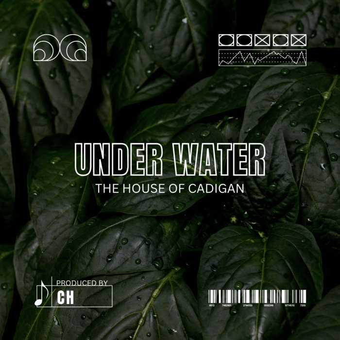 Underwater | Brennan Struif | Skin Raft