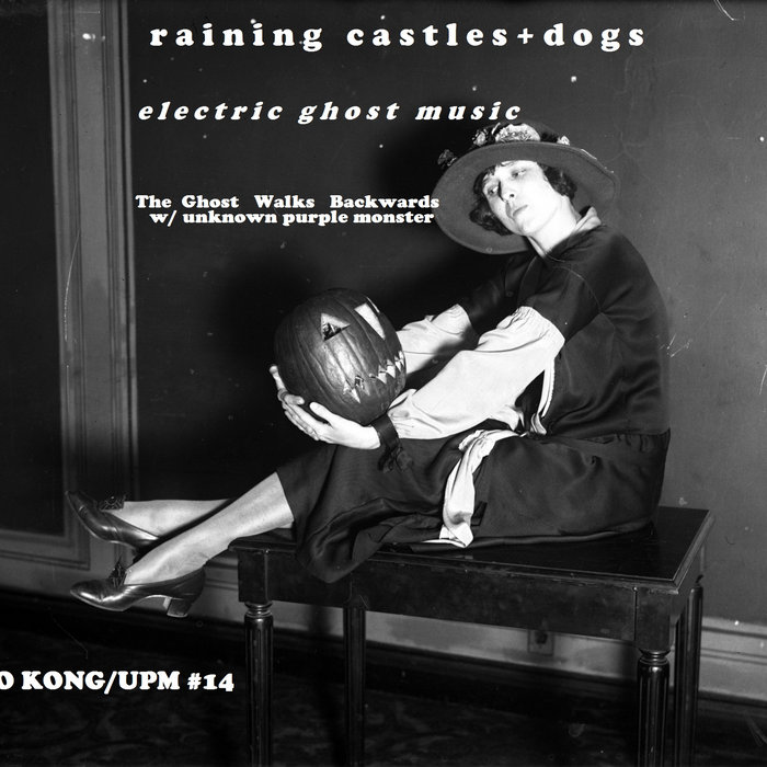 Electric Ghost Music | Still Raining Castles and Dogs | Captain Feeney ...