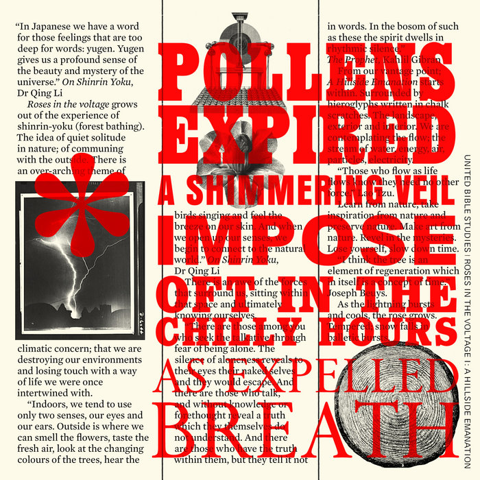 Roses In The Voltage I : A Hillside Emanation | United Bible Studies