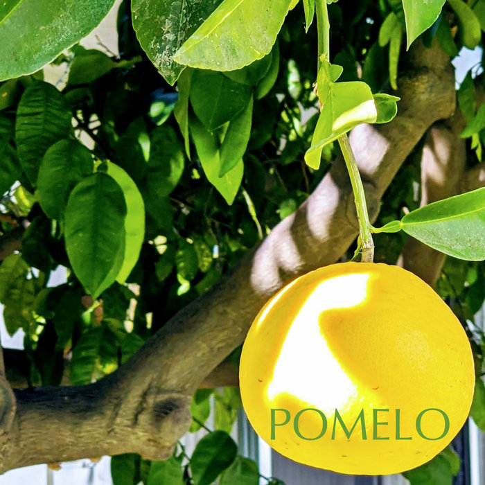 Pomelo | Byron Au Yong