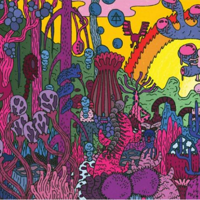 Enfolding Light | Black Tempest