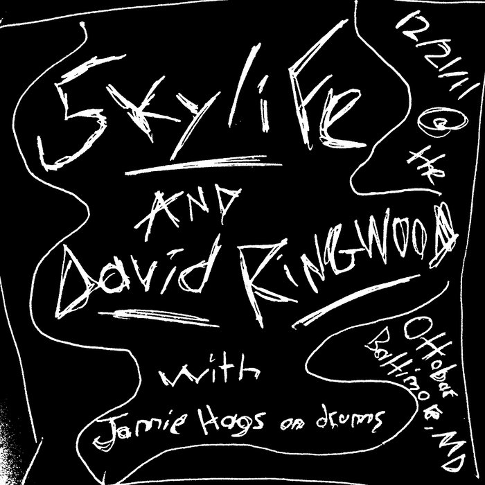 12/21/11 at the Ottobar | Skylife and David Ringwood with Jamie Hagerty ...