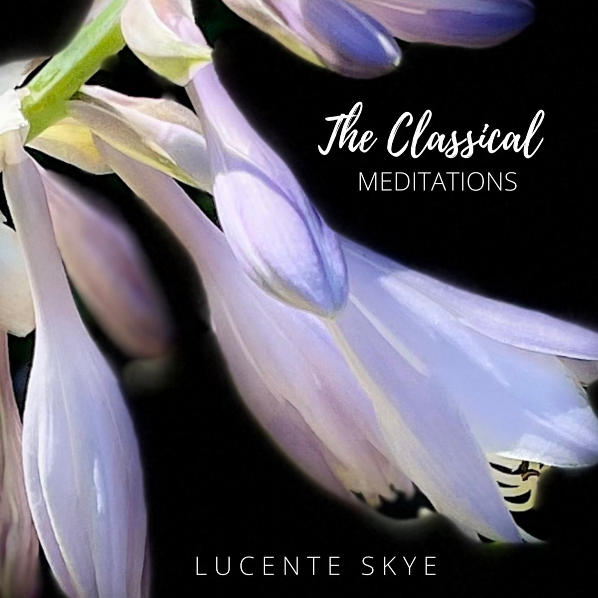 Chopin Nocturne in C-sharp Minor, Op. 27, No. 1 (Arr. for piano by N. LaViolette) | Naomi LaViolette