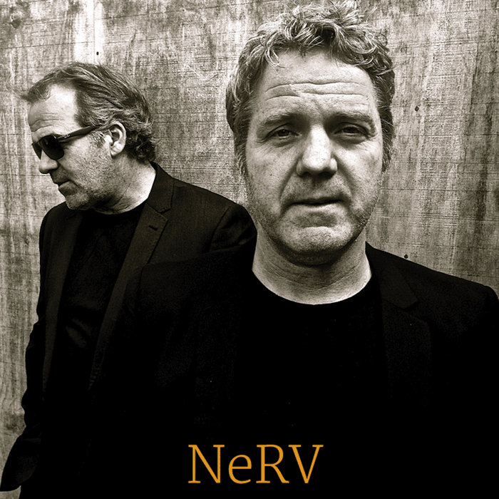 NeRV | Northern Nerv