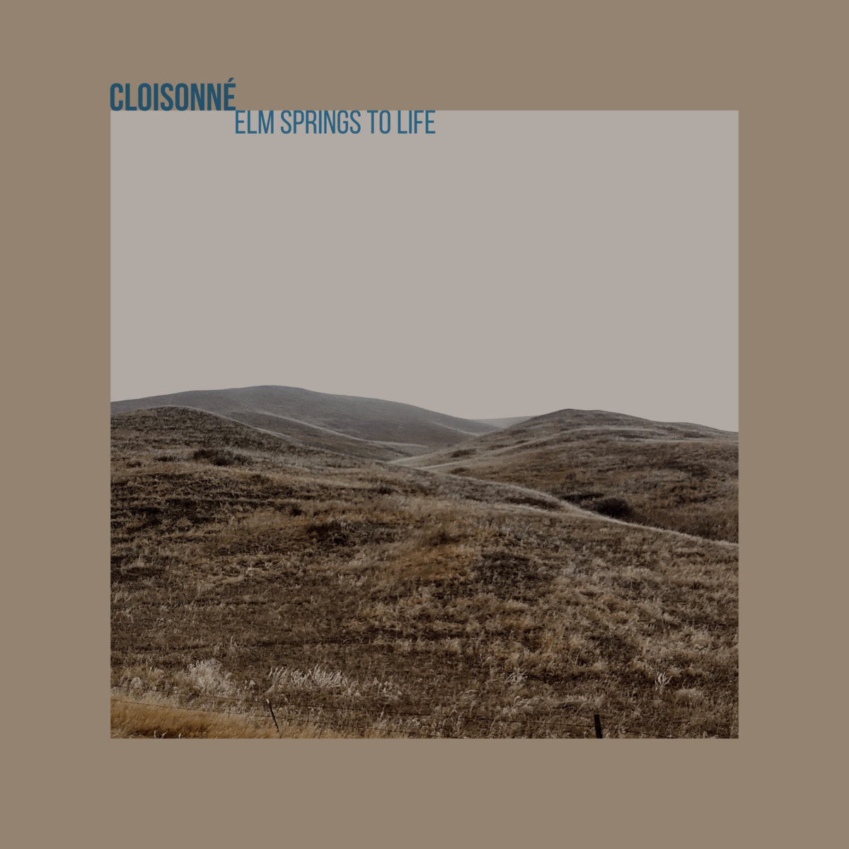 Elm Springs To Life | Cloisonné