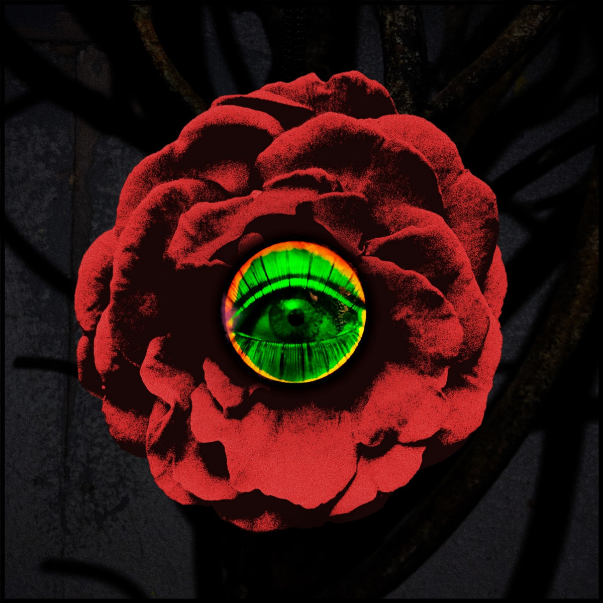 Emerald Eyes - Single | Baby Delgado | KID Recordings