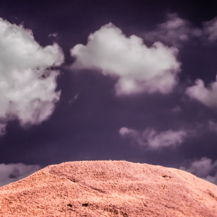 A Hill Of Beans | Adrian Northover