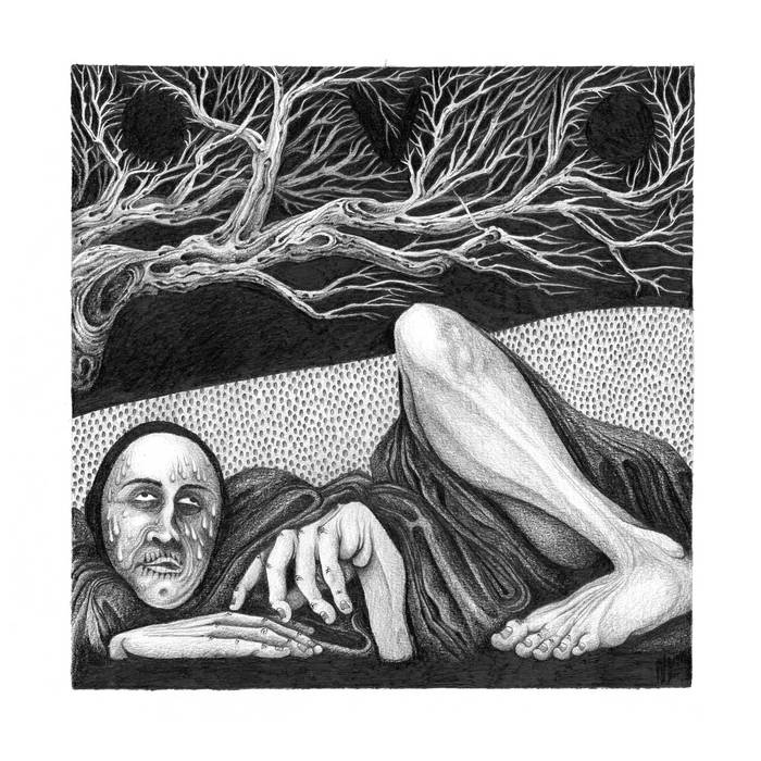 Ovoxo Facebook Covers