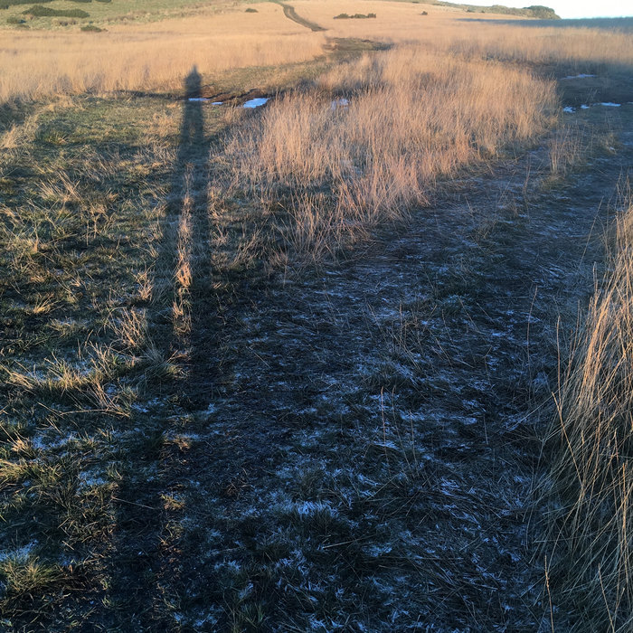 Sonamble | Eunice Waymon