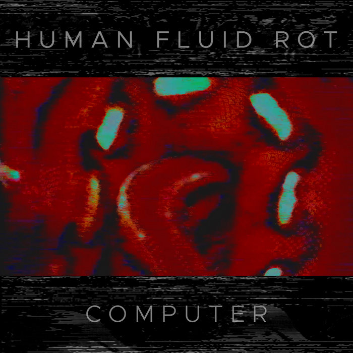 Human Fluid Rot Split | Human Fluid Rot / Computer | COMPUTER