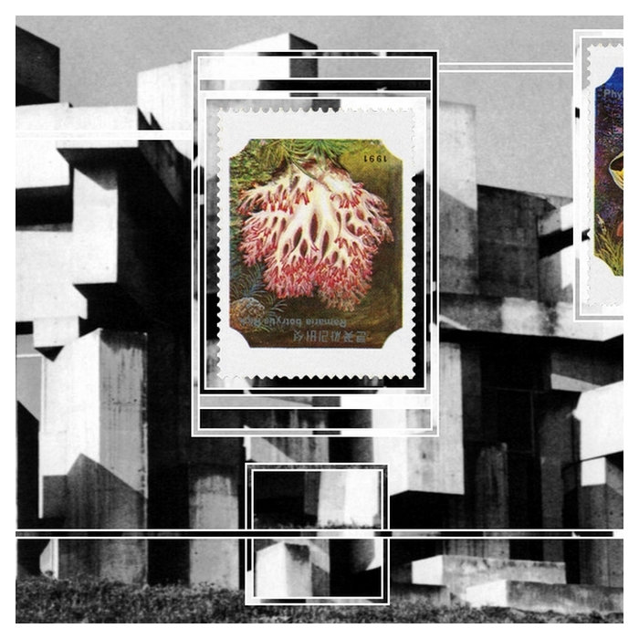 Le Codex Animal | Femme