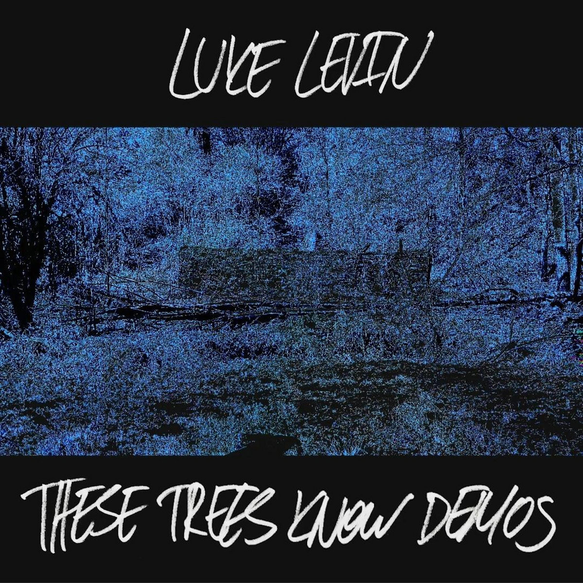 These Trees Know Demos | Luke Levin