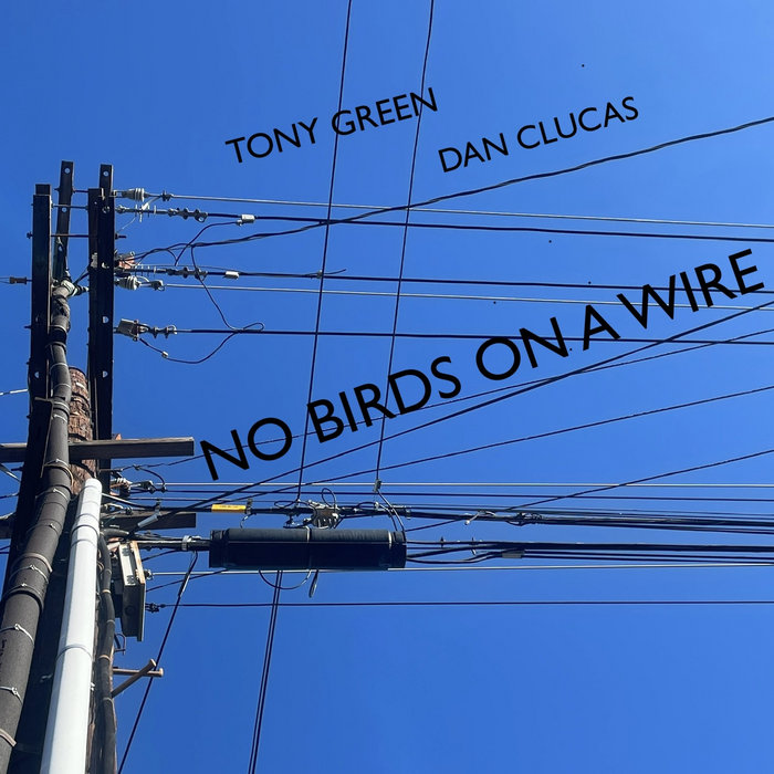 No Birds on a Wire | Dan Clucas, Tony Green | Tony Green