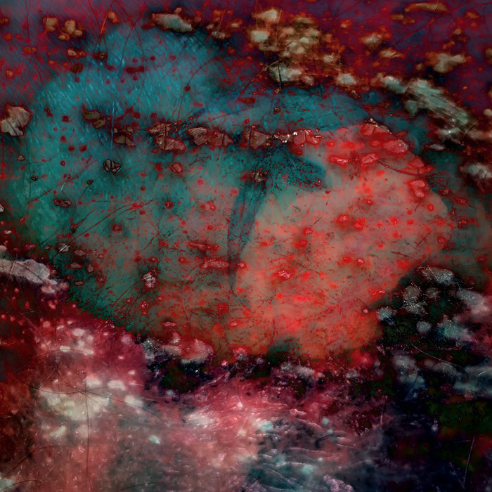 Self Inflicted Wounds | Oddscure