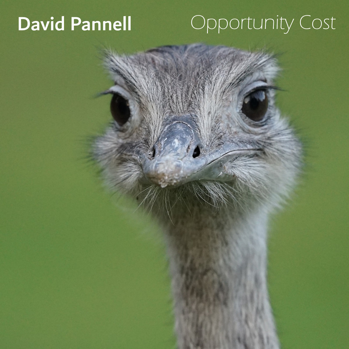 Opportunity cost | David Pannell | dog park