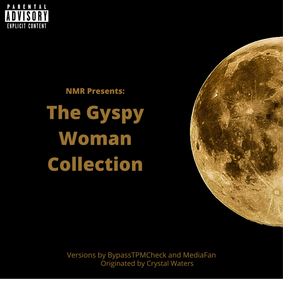 The Gypsy Woman Collection | Crystal Waters, MediaFan, BypassTPMCheck | Manchester Piccadilly ...