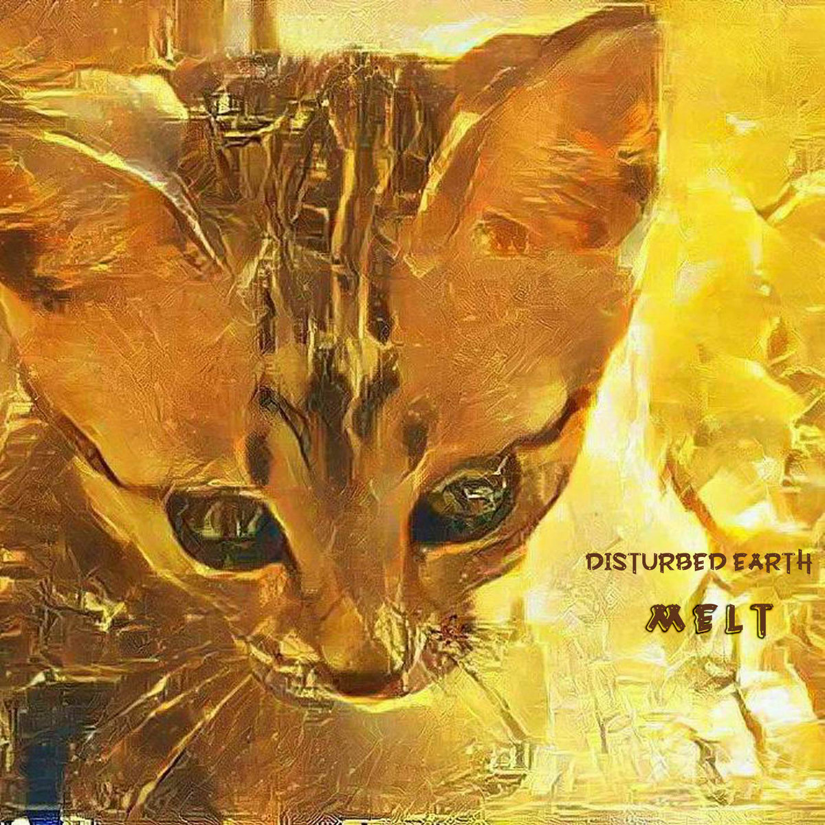 Melt | Disturbed Earth