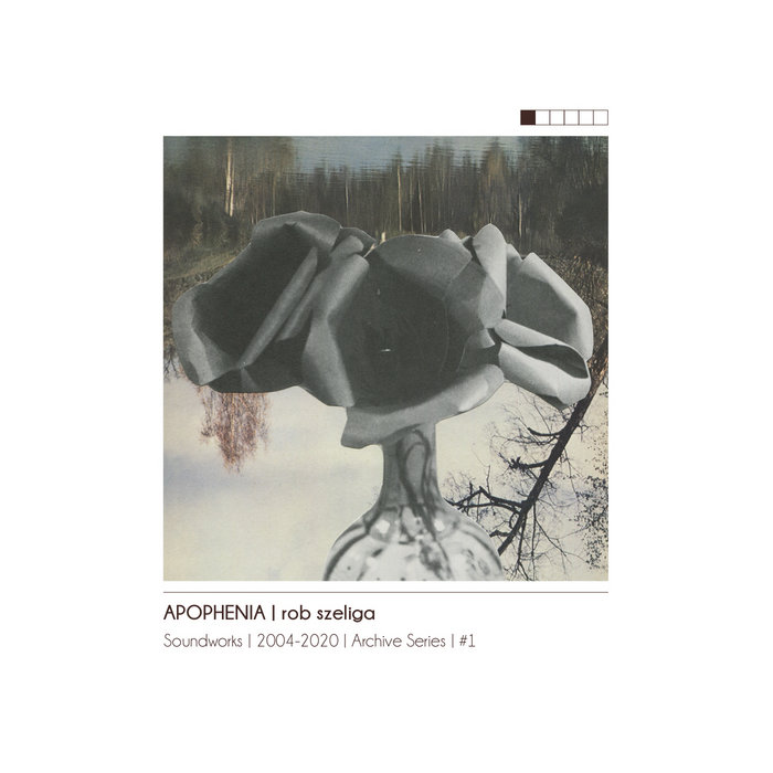 Apophenia | 2004-2007 | Rob Szeliga