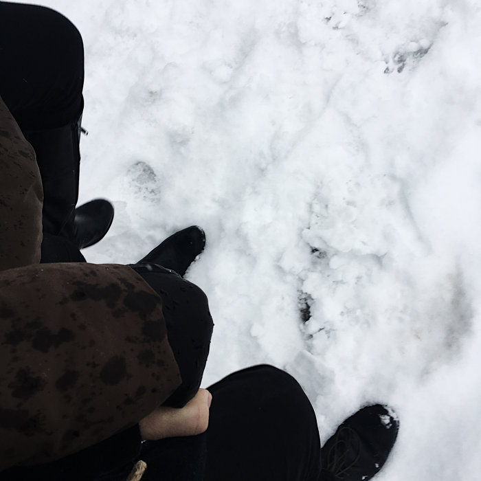 christmas is almost here | andrew & corrie