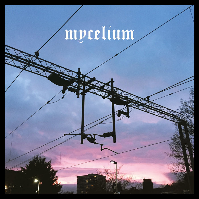 MYCELIUM - Mind Knows Not The Wisdom Of Muscle And Marrow | MYCELIUM ...