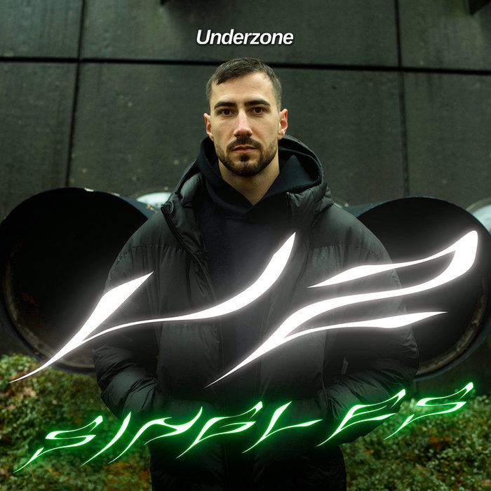 Epigenetic Marks | gene for fate | Underzone