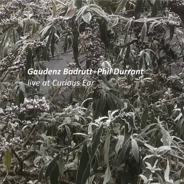 live at Curious Ear | Gaudenz Badrutt+Phil Durrant | scatterArchive