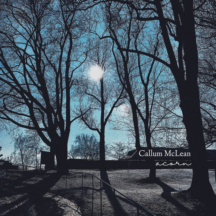 Acorn | Callum McLean