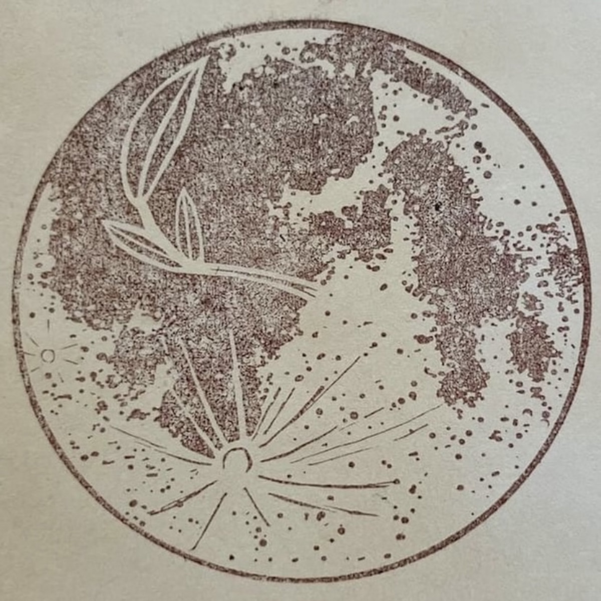 Silent Roots | Hidden Sequence