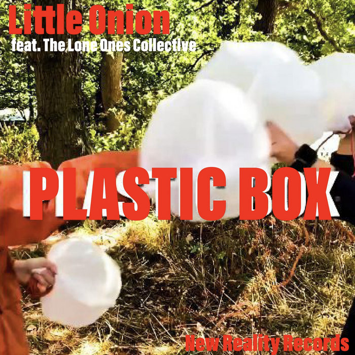 Plastic Box | Little Onion