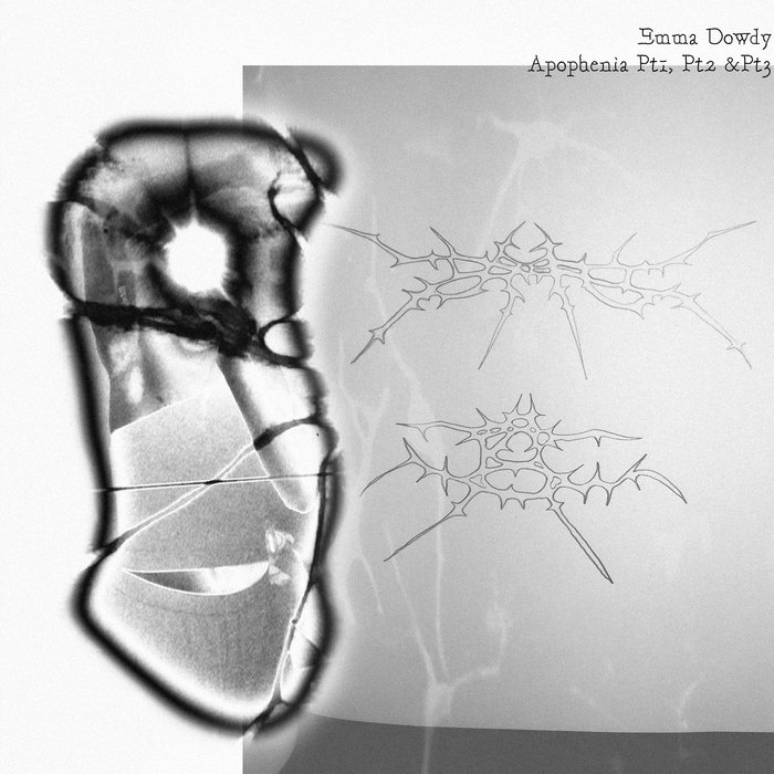 Apophenia | Emma Dowdy