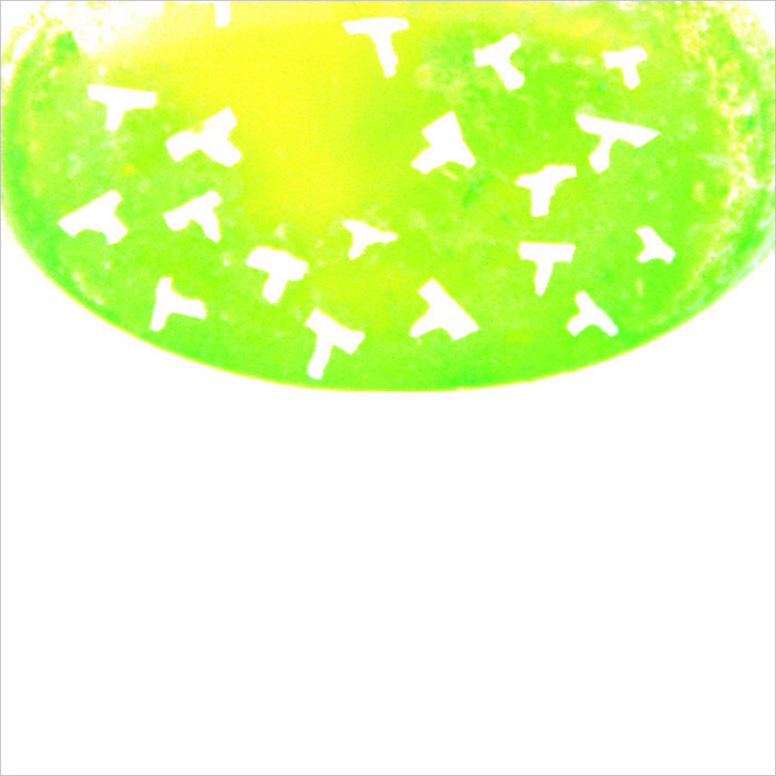 tttt | ttttttttttttttttttttt