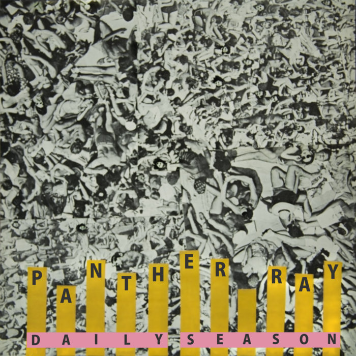 Daily Season | Panther Ray