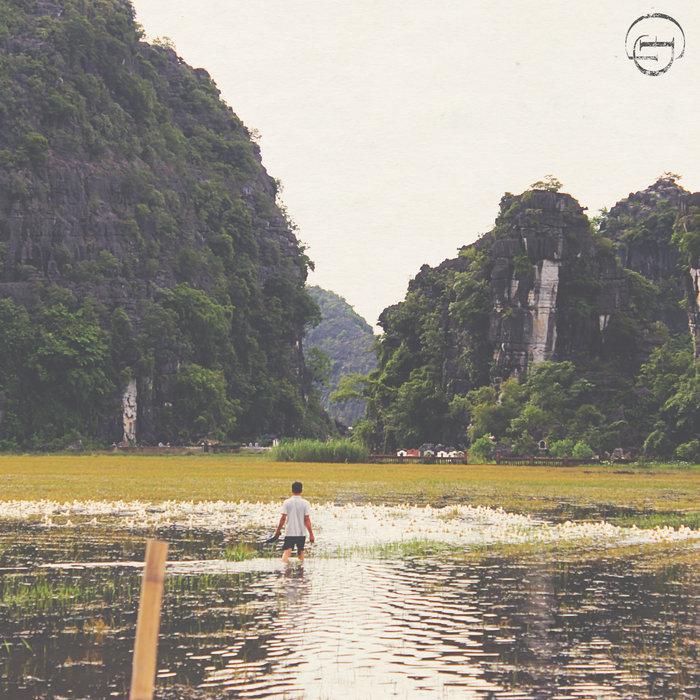 The Curious Case Of Thomas Trow | David Gotham