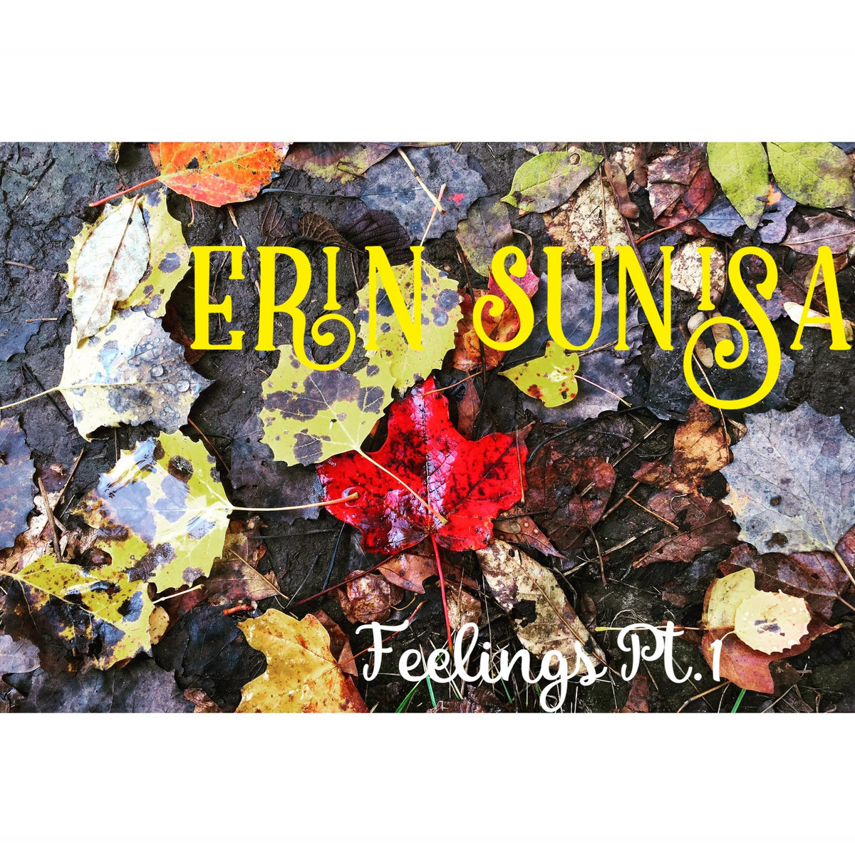 Feelings Pt. 1 | Erin Sunisa