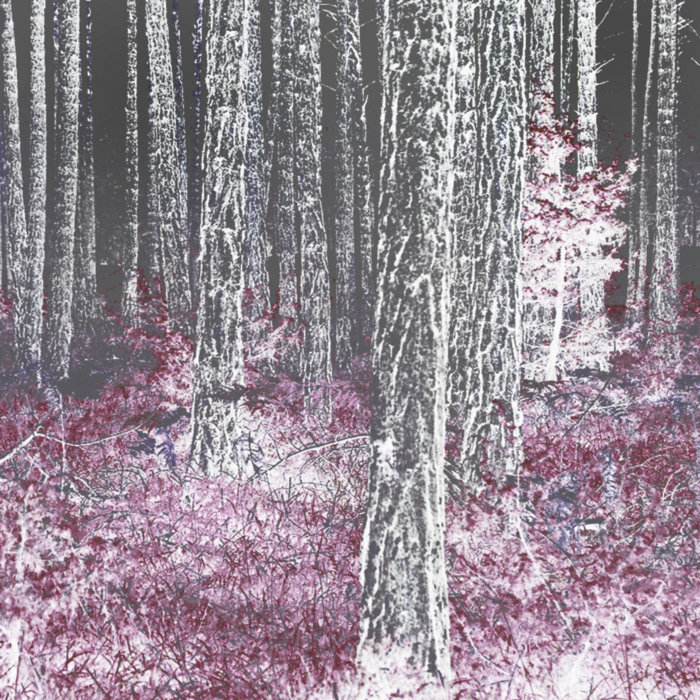 What happened so far... | Nikosh - | Nikosh