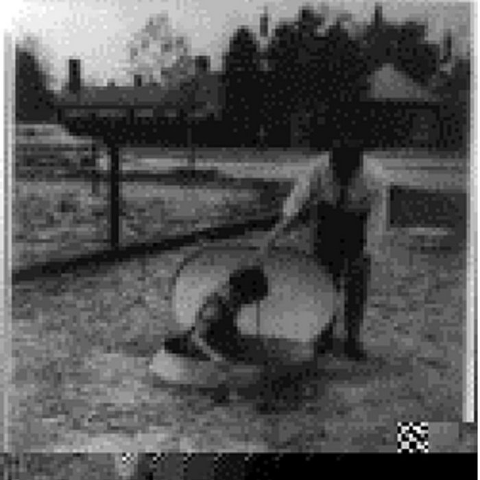 Dawn of the New Day | Fallout Priest