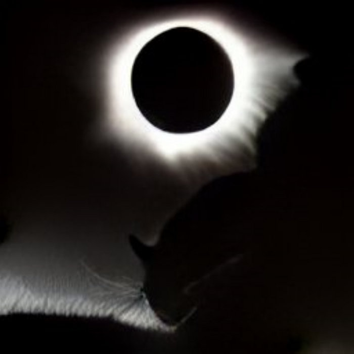 Eclipse Rising | St4rryxxx | St4ryxxx