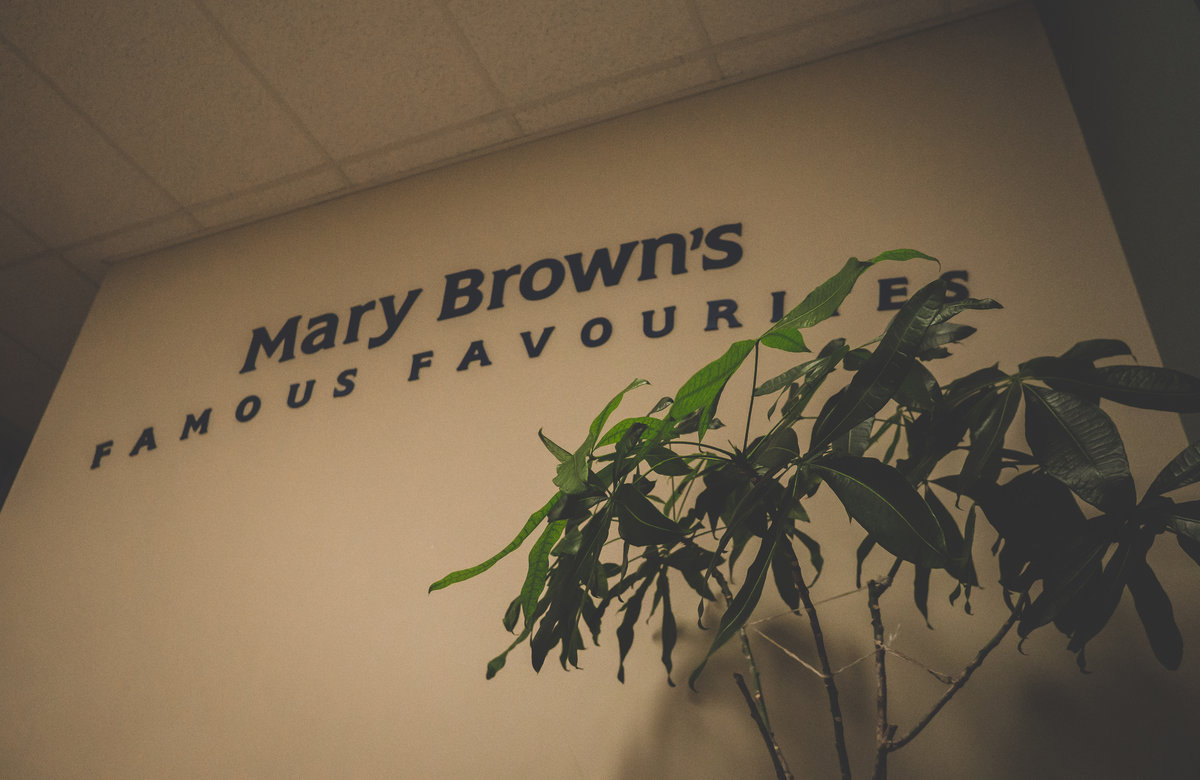 Fakely Chicago | Mango Fett