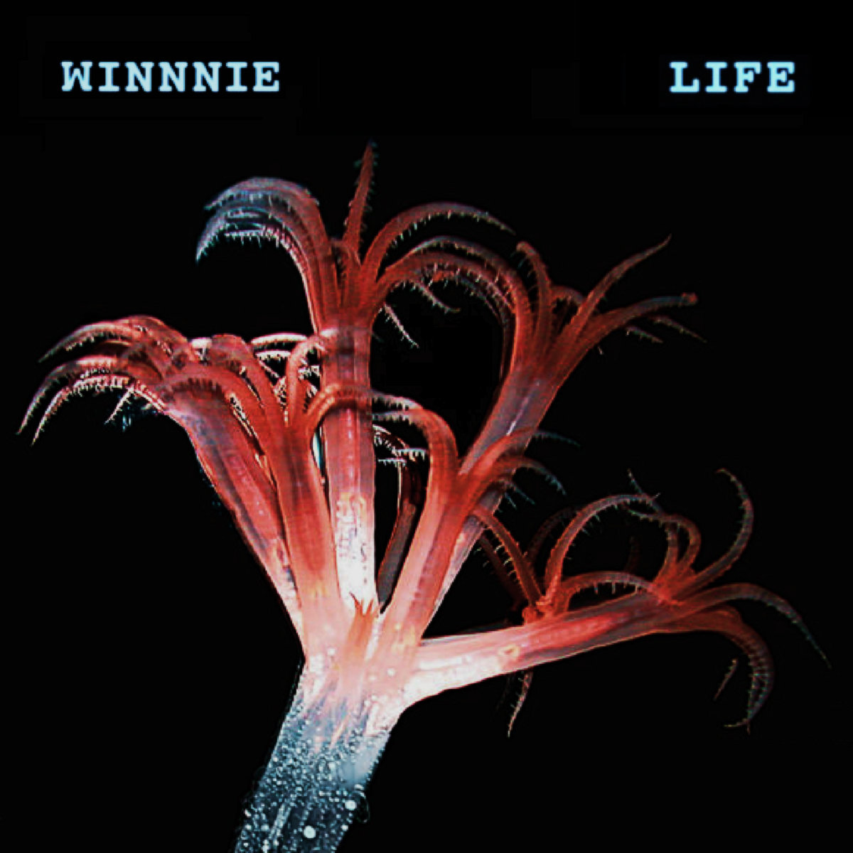 Life | Winnnie