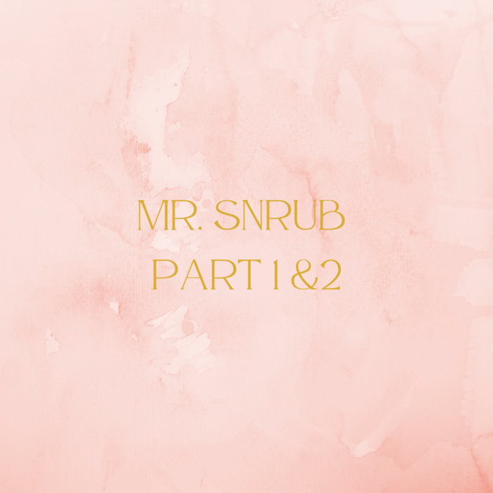 Mr. Snrub Part. 1 Extended & Remastered | Dialog