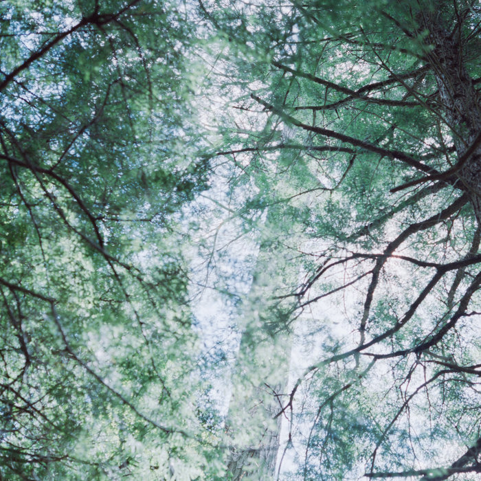 gymnopédie #1 | Timothy Cleary