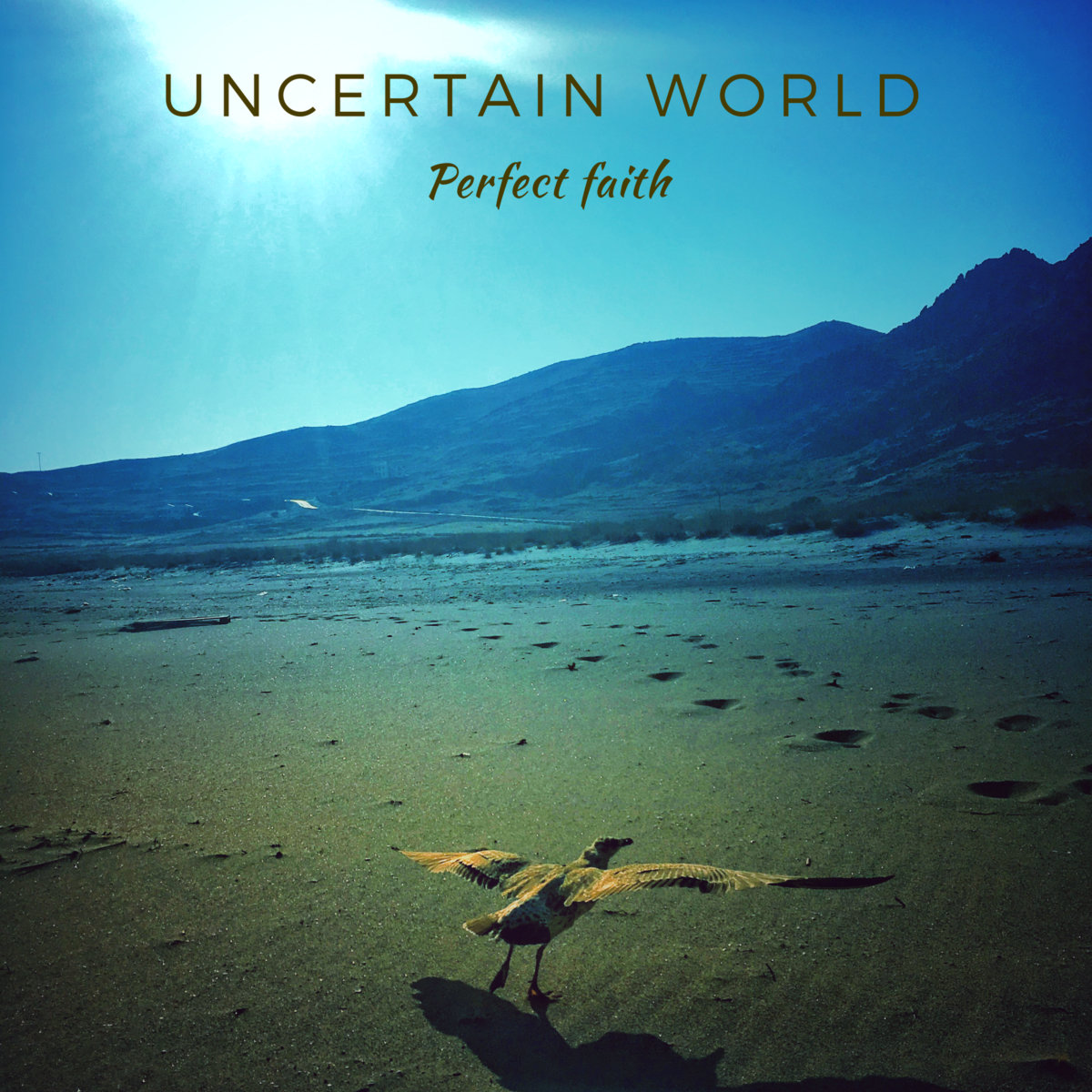 Uncertain World | Perfect faith