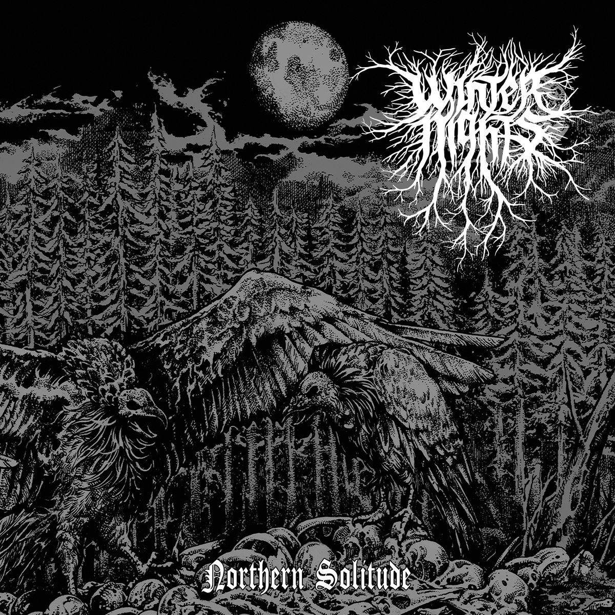 Northern Solitude | Winter Nights