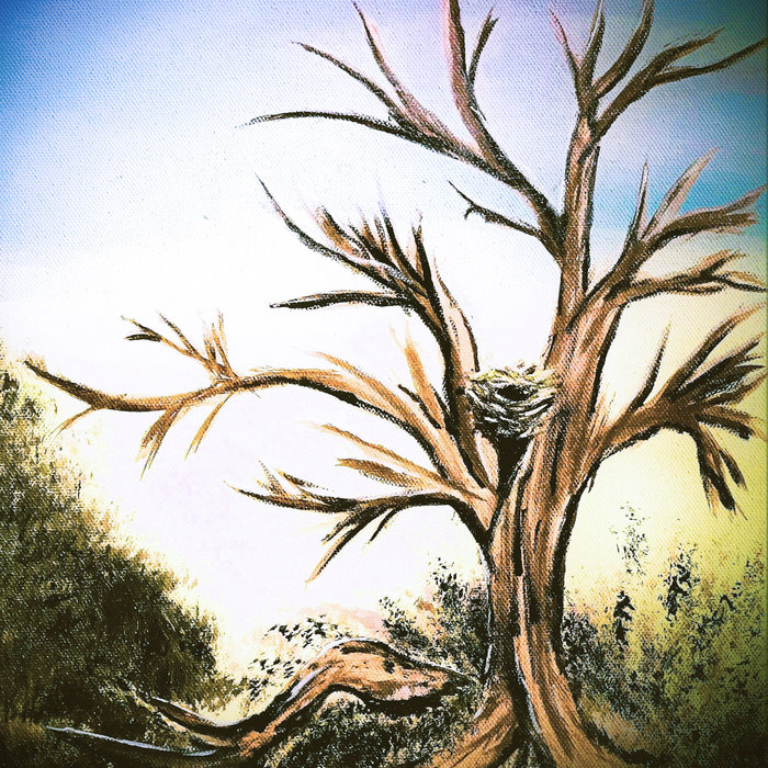 Shattered Garden (Climate Change Song) | Maggie Richardson | John Stea