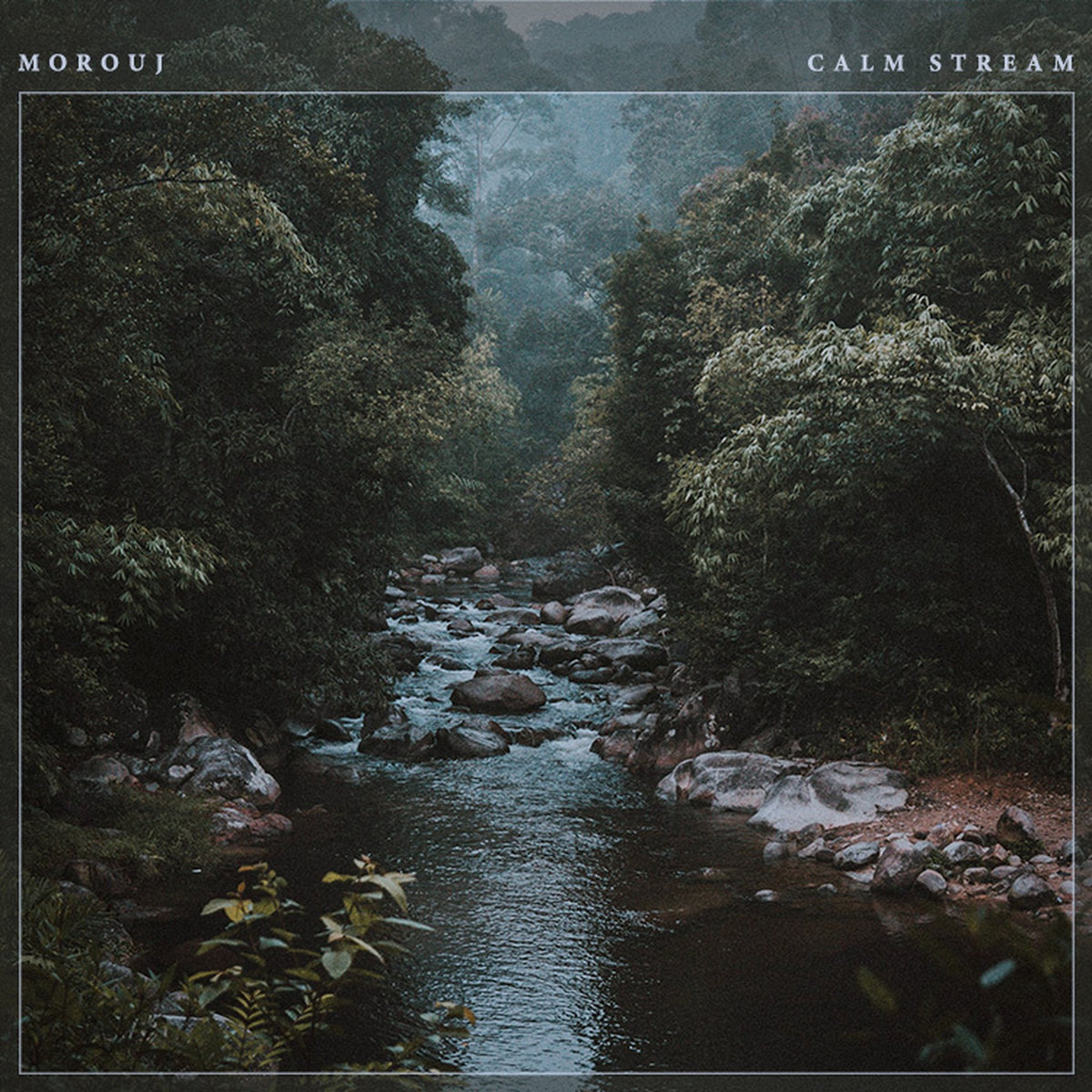 Calm Stream | Morouj