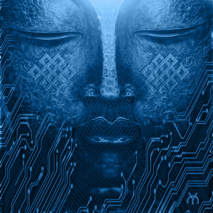 6th Dimensional Beings