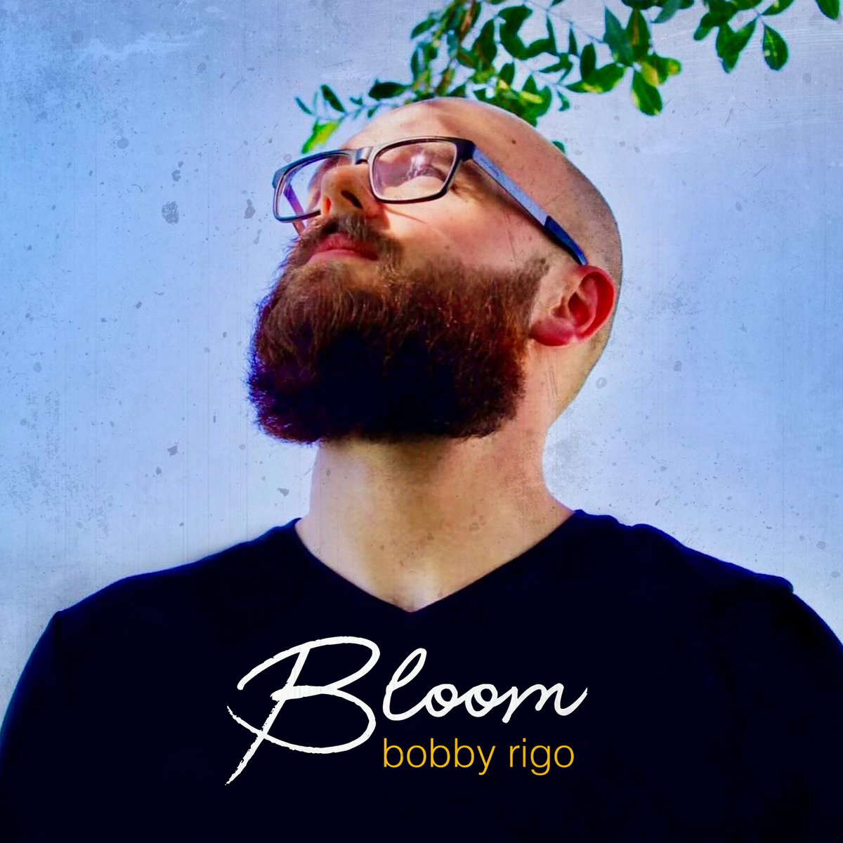 Bloom | Bobby Rigo