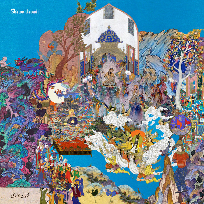 Shawn Javadi | Shayan Javadi