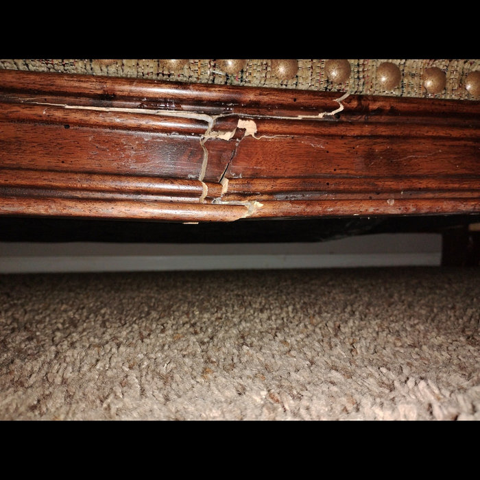 halfway through a slow sad march | kitten nose